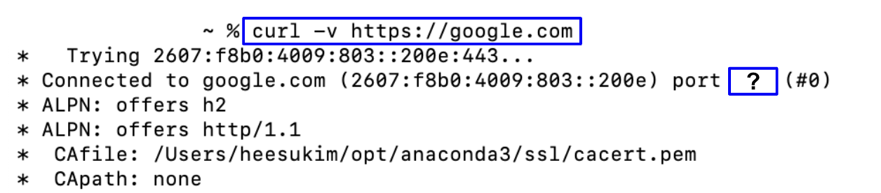 Launching a Web Server in AWS